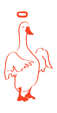 Holy Duck! - Modern Chinese on Kensington Street, Chippendale